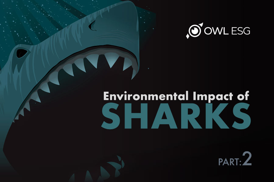 SHARKS IN PERIL: THREATS and OVERFISHING – PART 2 - OWL ESG